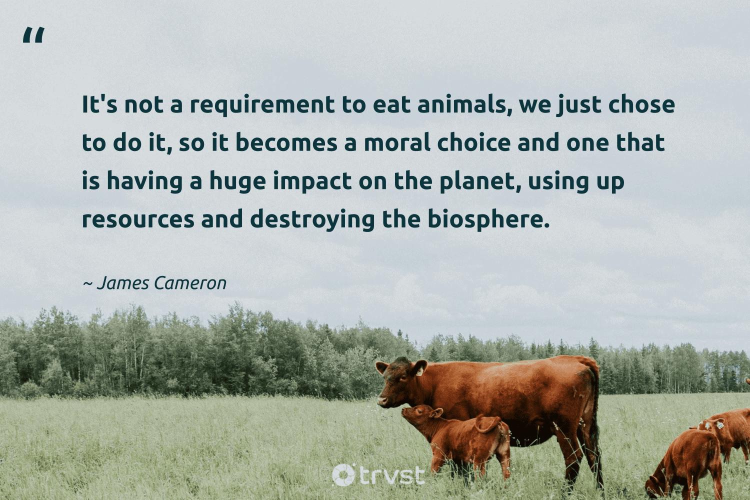 40 Biodiversity Quotes Celebrating And Protecting All Life