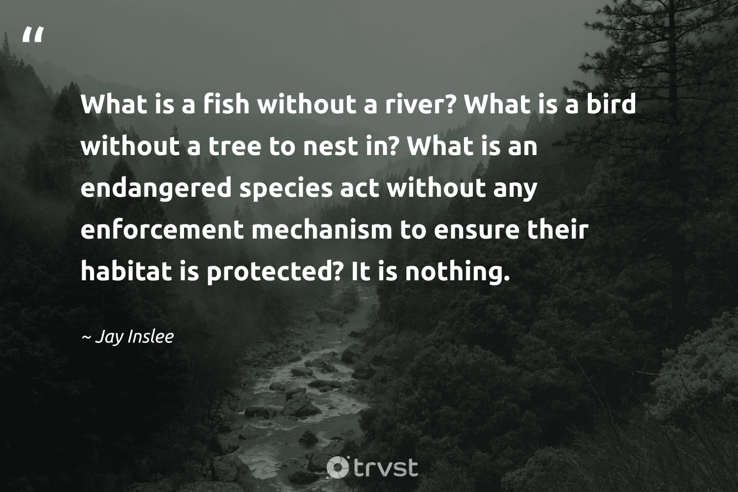 40 Biodiversity Quotes Celebrating And Protecting All Life