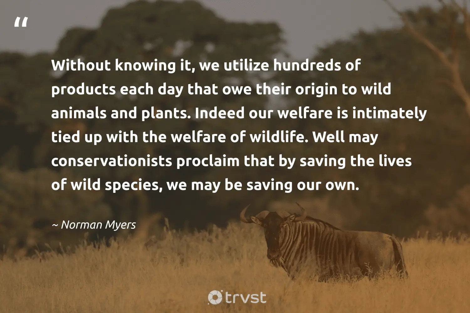 Conserve Wildlife Quotes