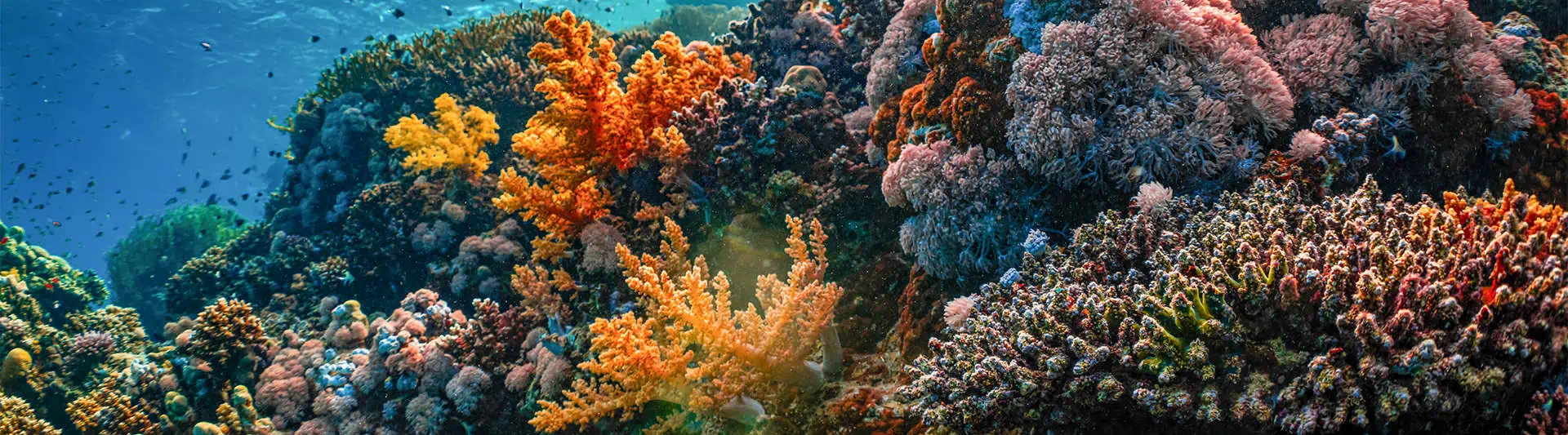 40 Biodiversity Quotes Celebrating And Protecting All Life