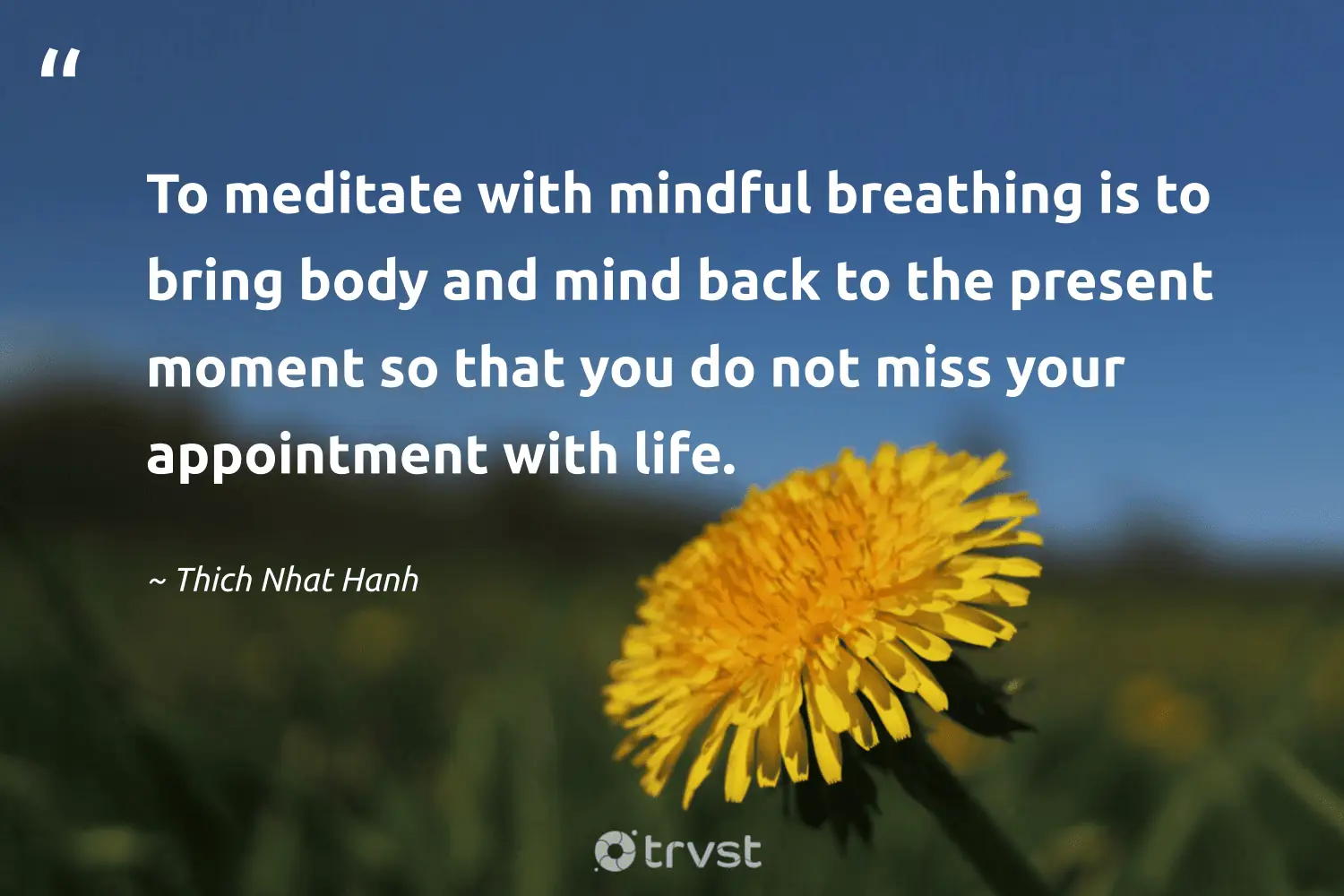 50 Breathe Quotes To Unwind And Calm Down