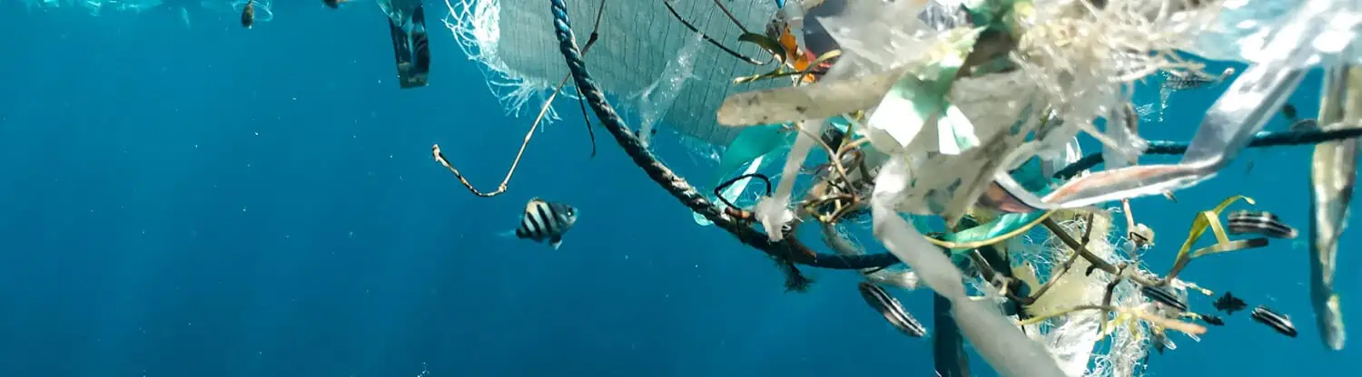 40 Plastic Pollution Quotes Provoking Action and Awareness