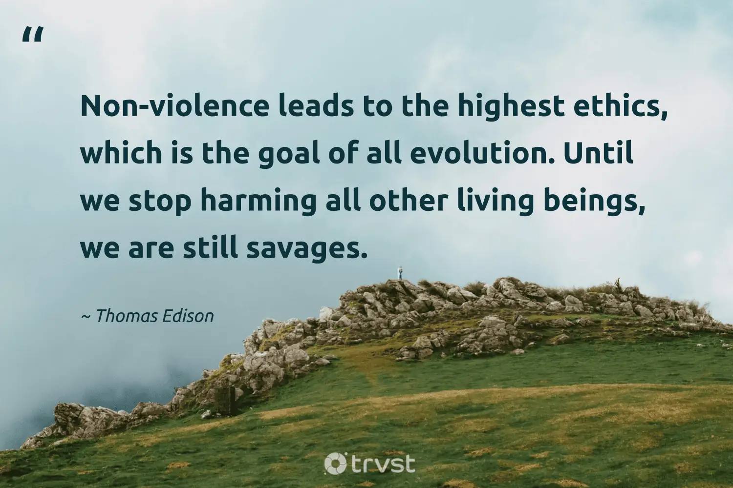 50 Vegan Quotes Inspiring Kindness For All Creatures