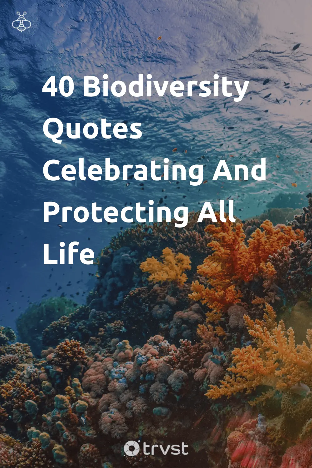 40 Biodiversity Quotes Celebrating And Protecting All Life