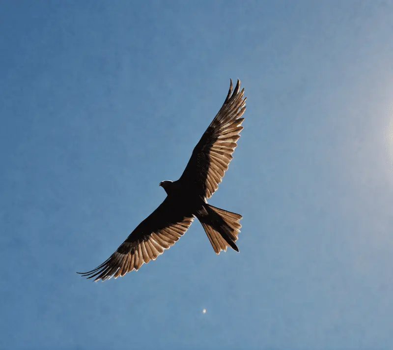 26 Positive Adjectives that Start with K to Brighten Your Vocabulary