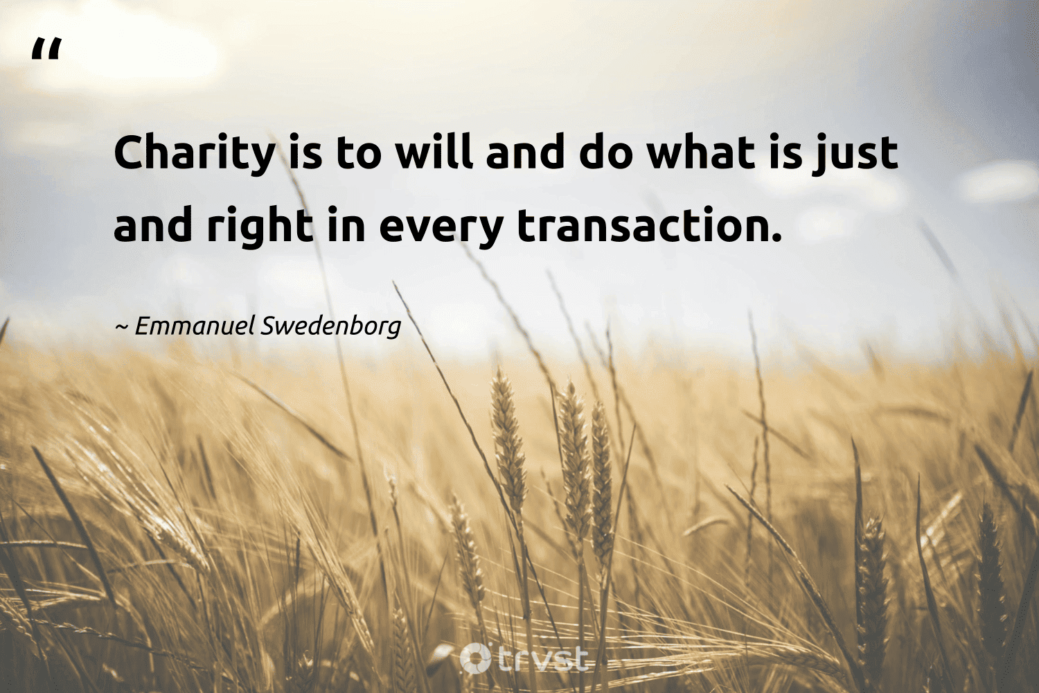 Amazing Charity Quotes