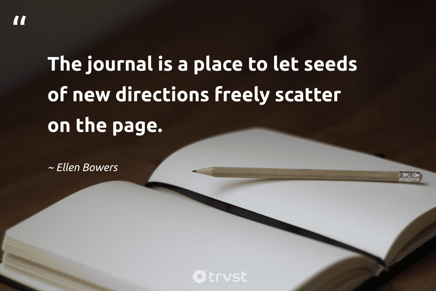 Journal Entries Quotes