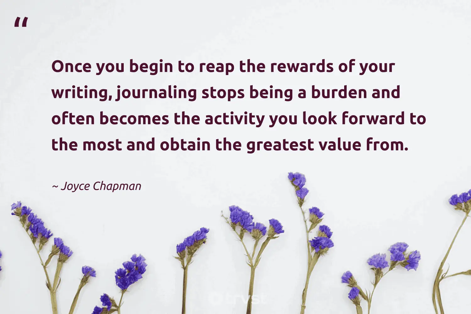 50 Journal Quotes Encouraging Reflection For Wellbeing