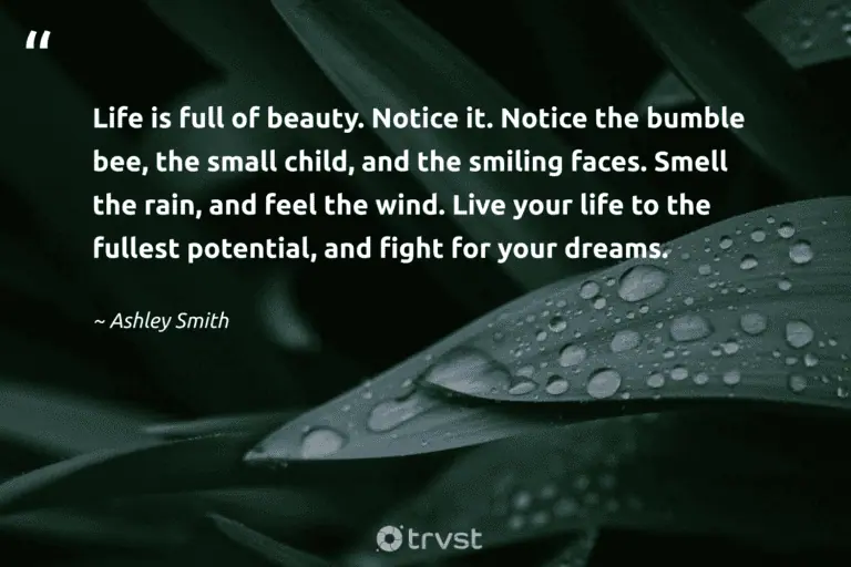 110 Inspiring Rain Quotes To Uplift You On Gloomy Days (2025)