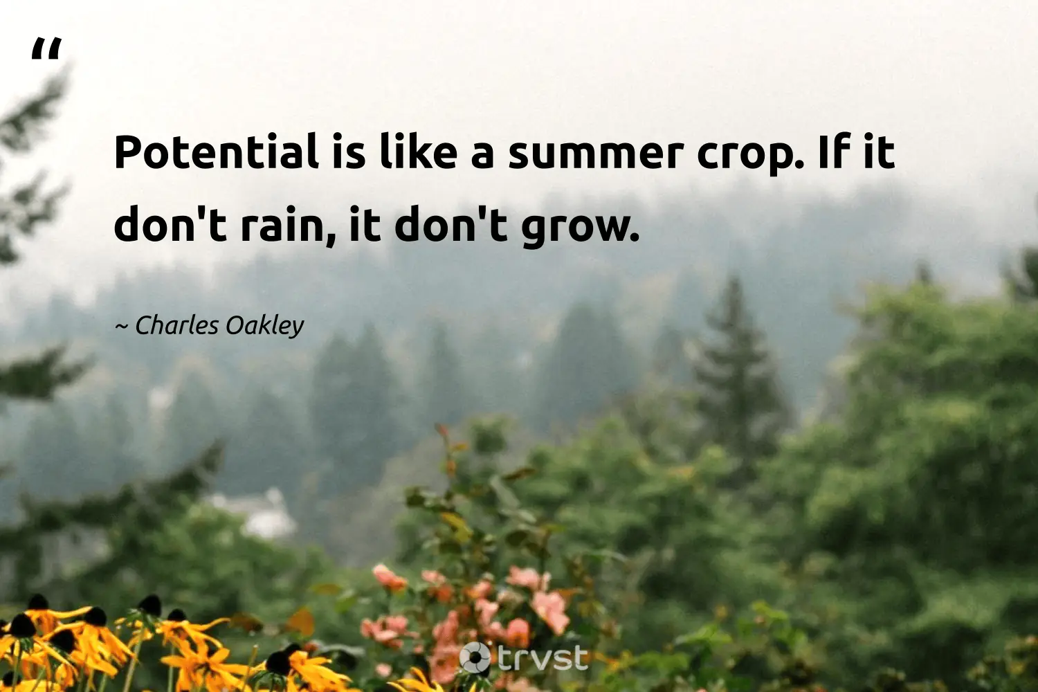 108 Inspiring Rain Quotes To Uplift You On Gloomy Days (2024)