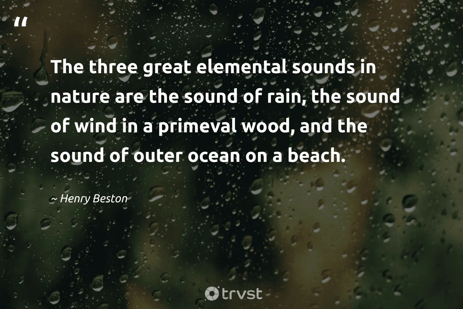Nice Monsoon Quotes