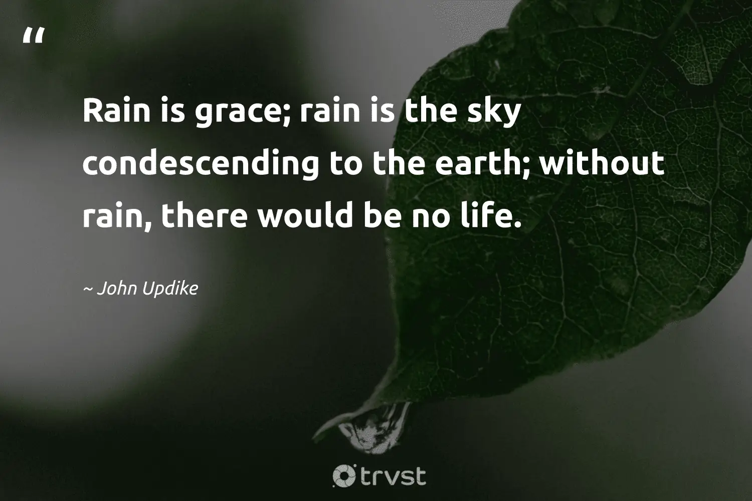Finally Rain Quotes