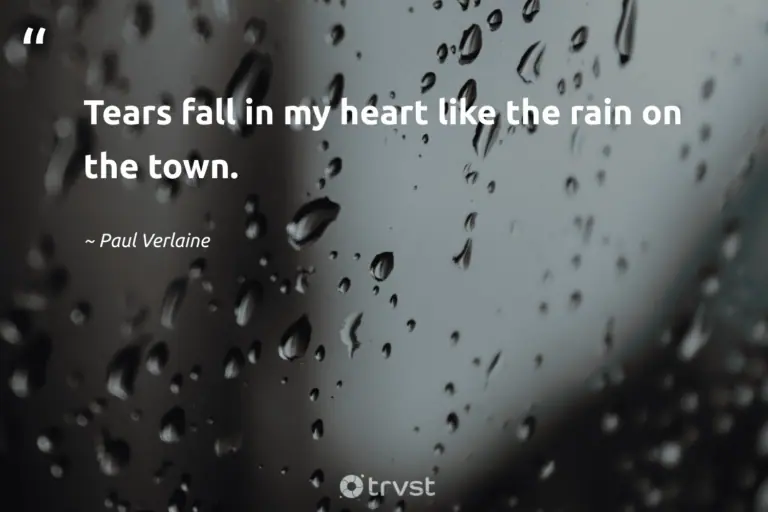 110 Inspiring Rain Quotes To Uplift You On Gloomy Days (2025)