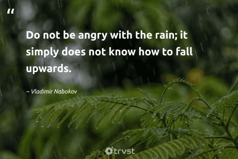 108 Inspiring Rain Quotes To Uplift You On Gloomy Days (2025)