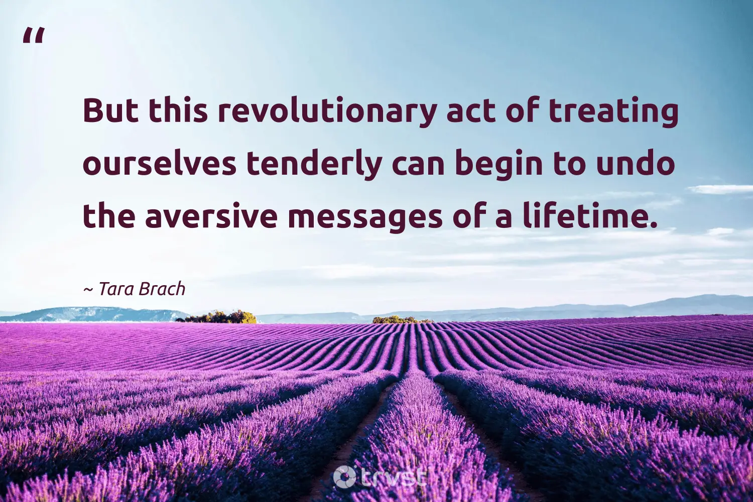 40 Acceptance Quotes Inspiring Strength, Love, And More