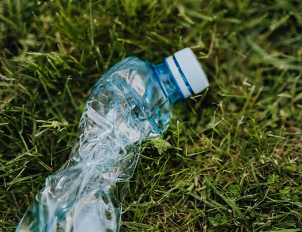11 Zero Waste and Plastic Pollution Campaigns