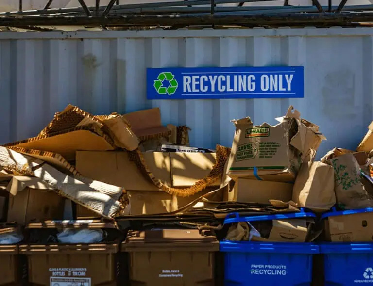 Global Recycling Day: Recycling Waste for a Better World