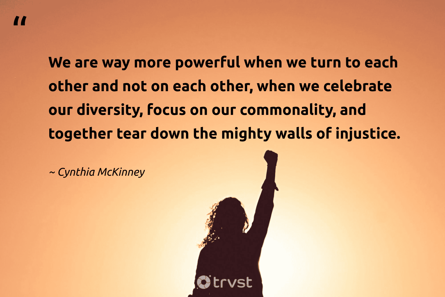 30 Civil Rights Quotes Fighting Against Inequality