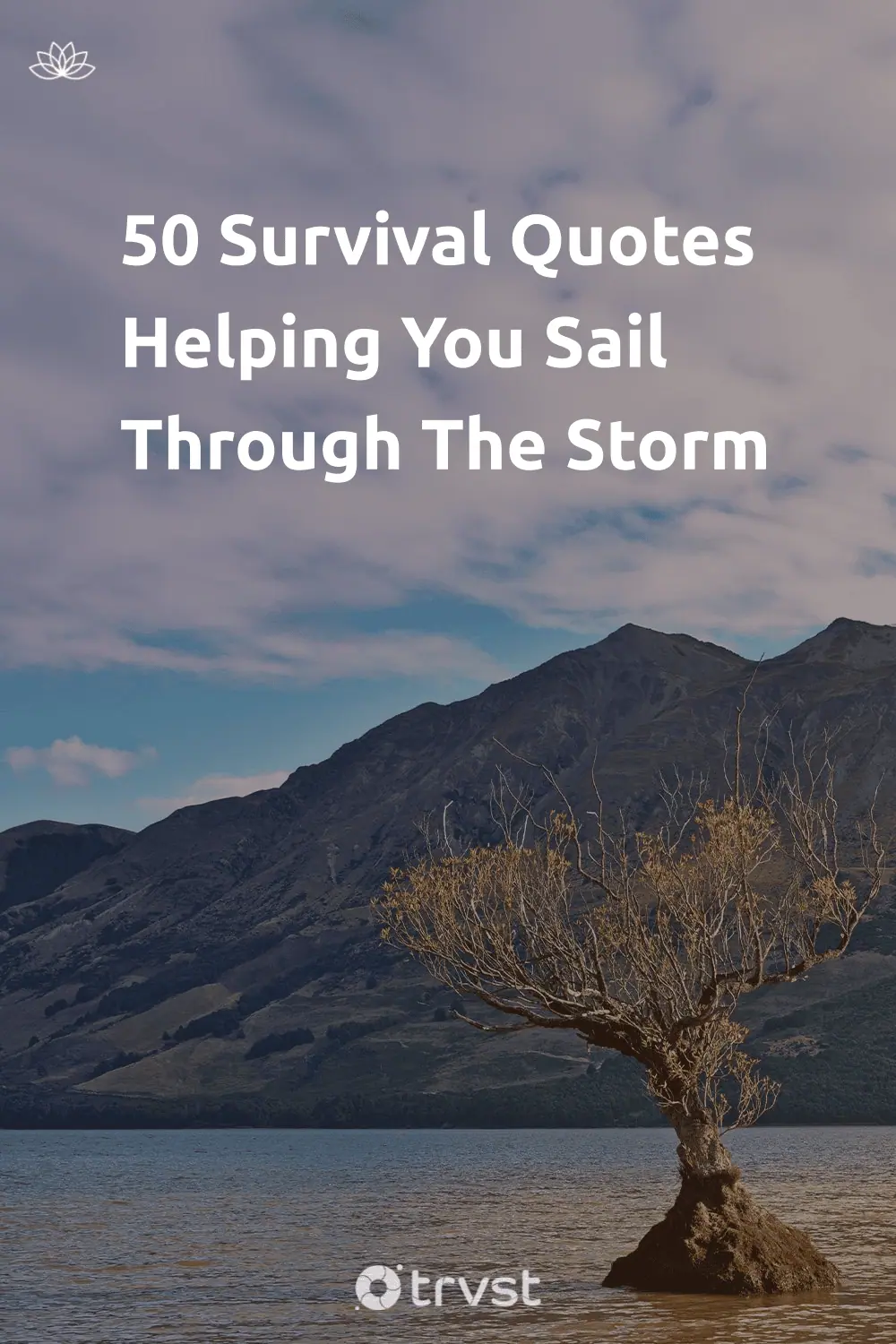 50 Survival Quotes Helping You Sail Through The Storm