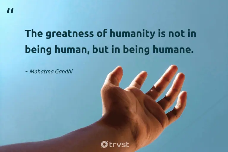 40 Homeless Quotes Opening Eyes and Inspiring Action