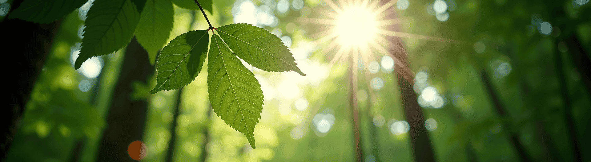 March 27th: National & International Days, Celebrations and Observances