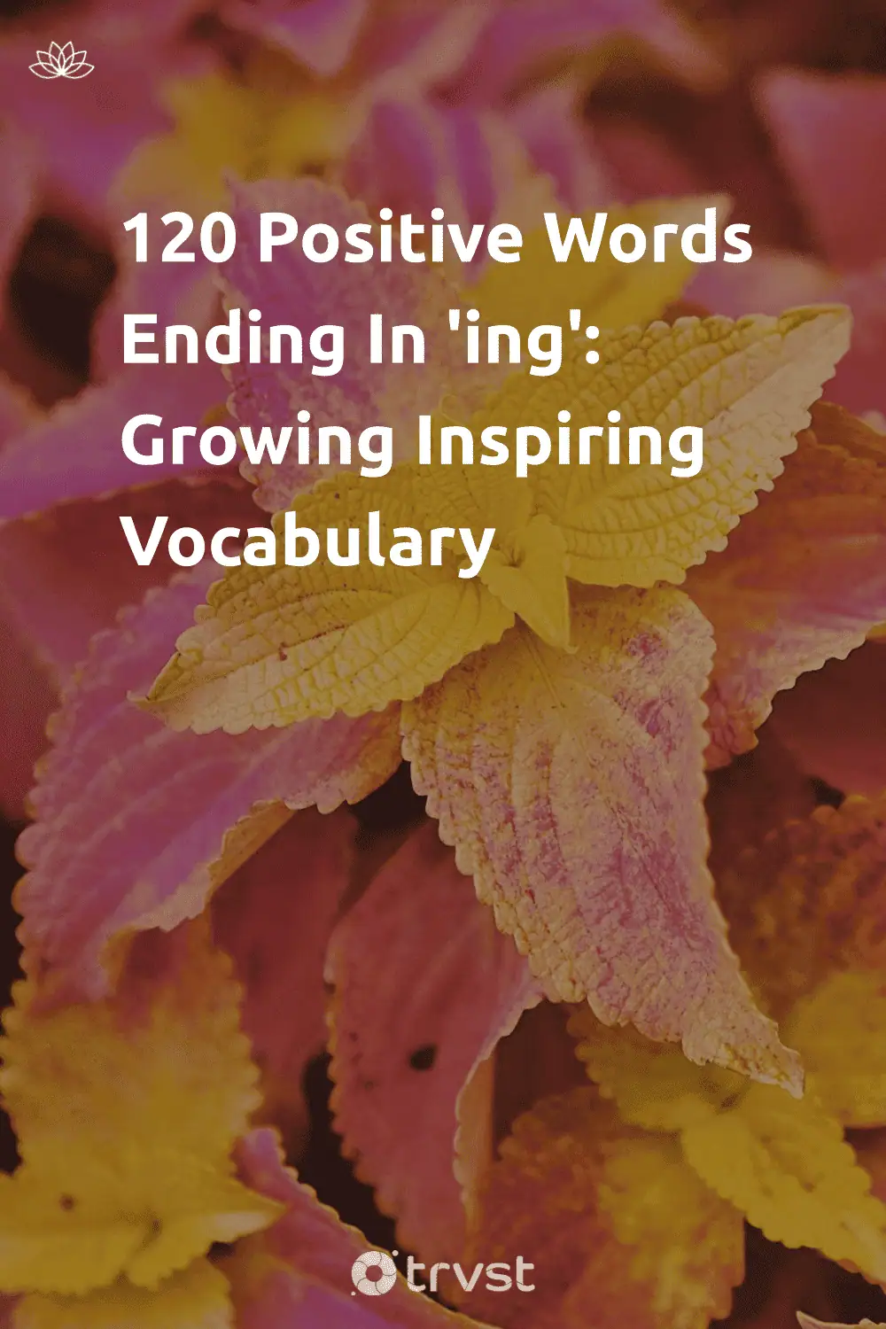 120 Positive Words Ending In 'ing': Growing Inspiring Vocabulary