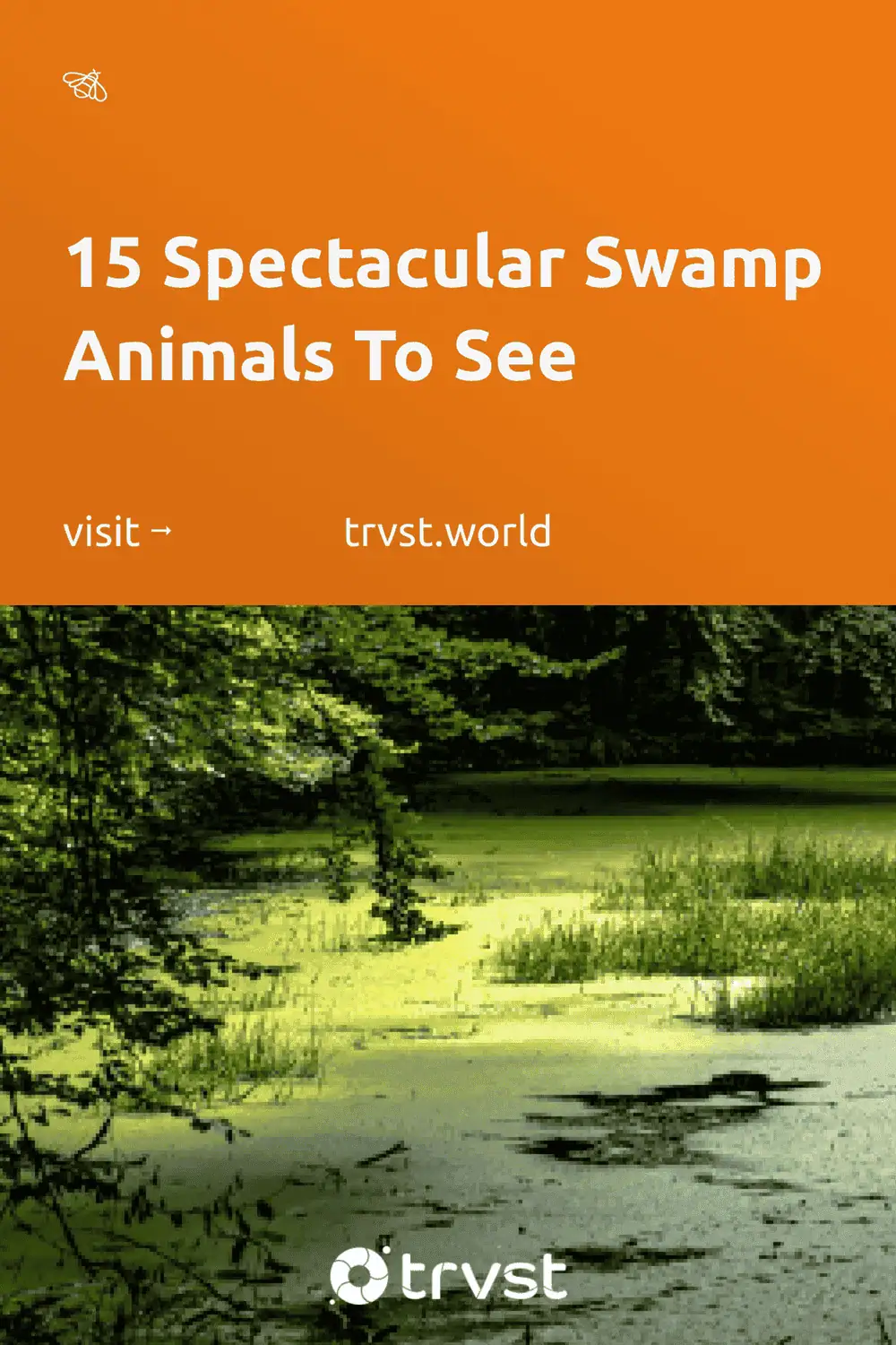 15 Spectacular Swamp Animals To See
